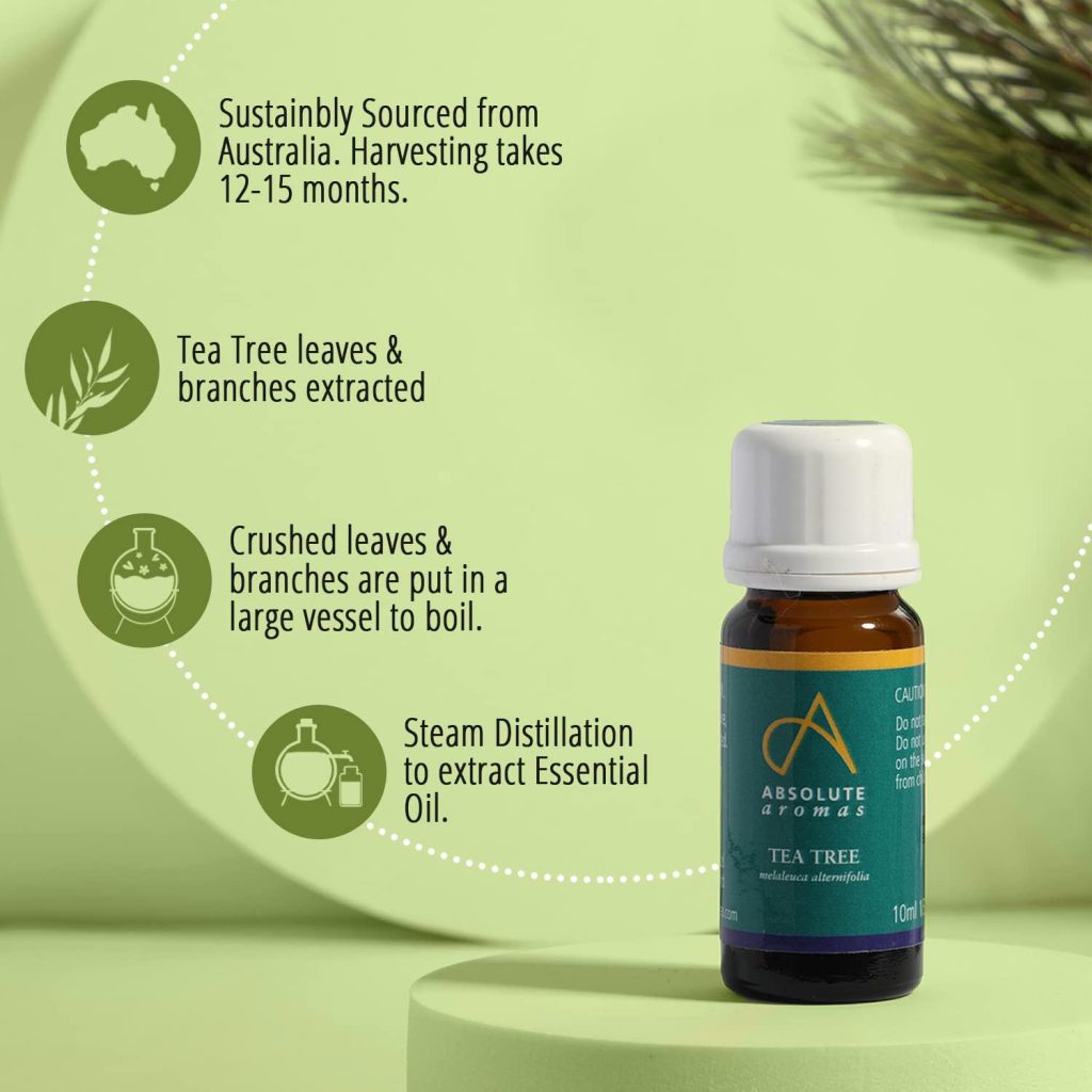 Tea Tree Essential Oil | Tea Tree Oil Uses - Absolute Aromas